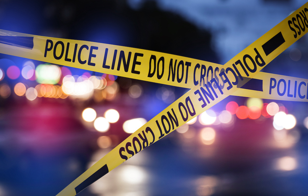 Solving the Case of True Crime’s Popularity